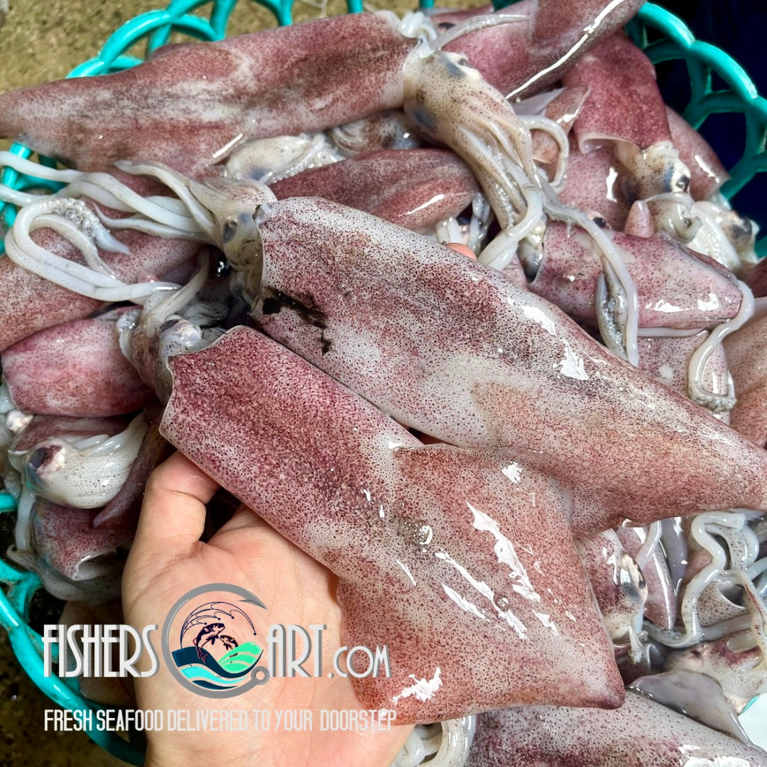 Fresh Pusit Native – Fisherscart Seafood Store