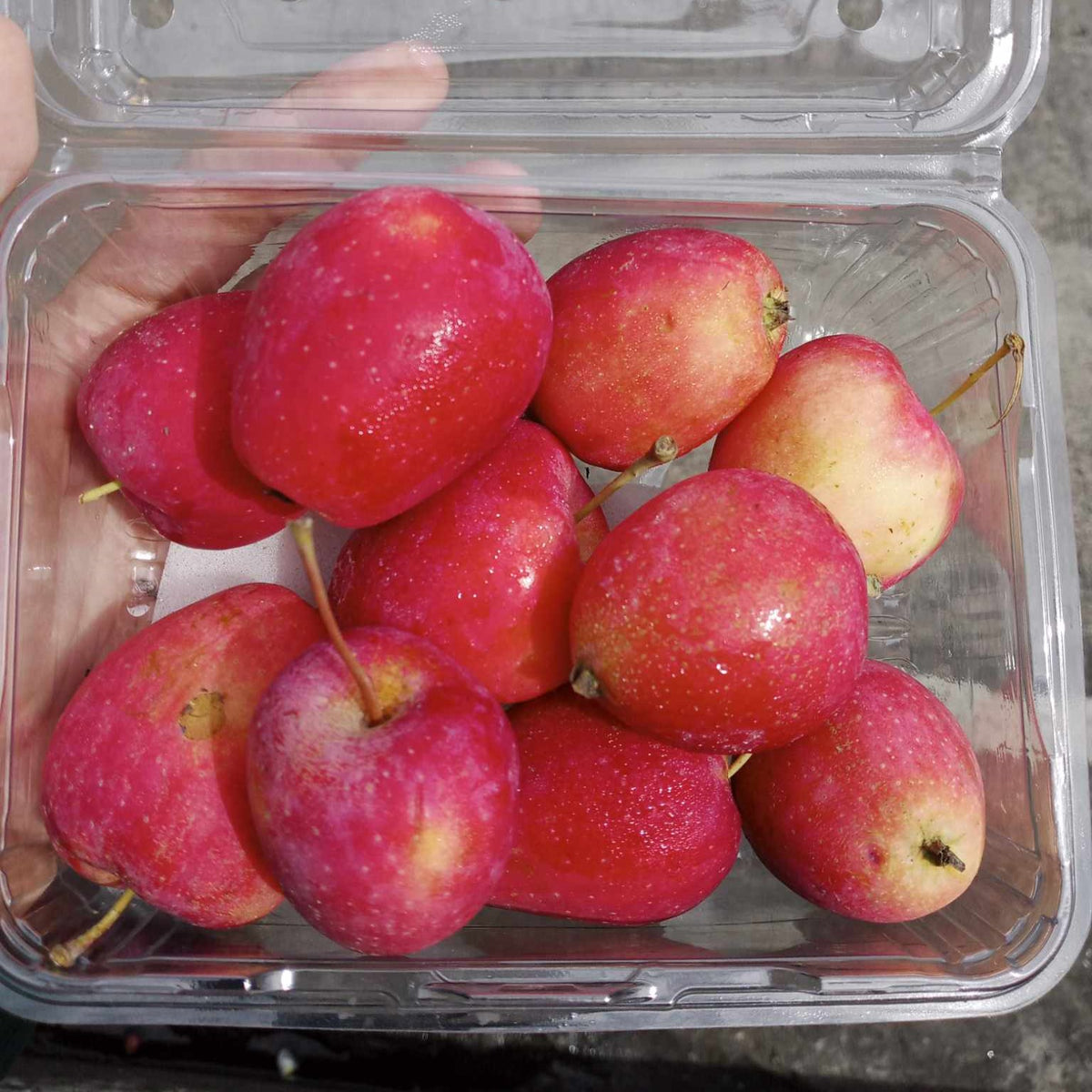 Fresh Strawberry Apple Pack – Fisherscart Seafood Store