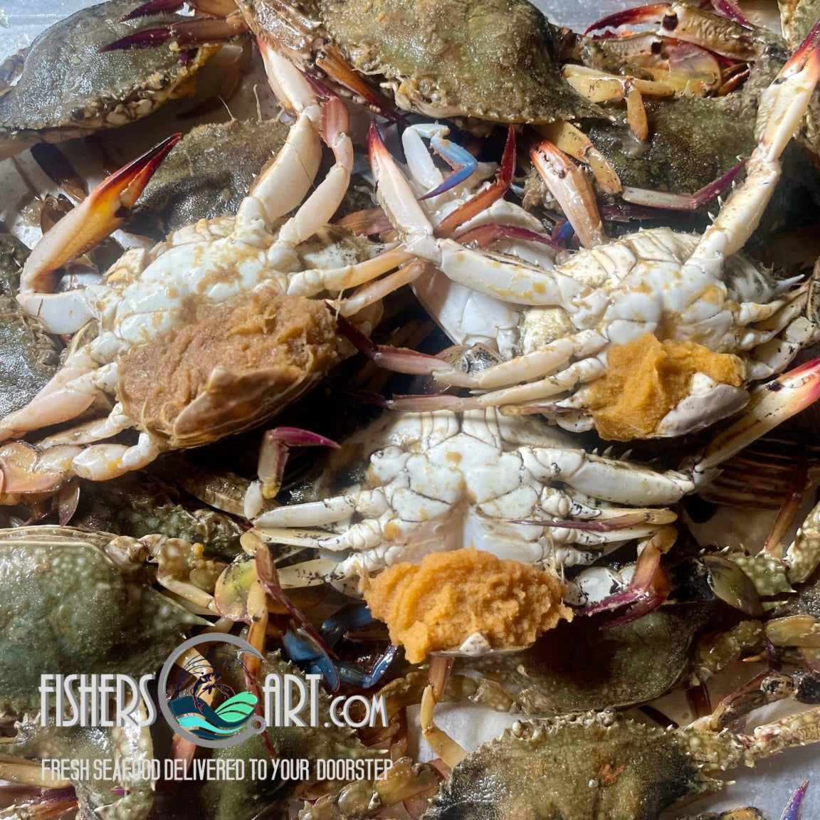 Fresh Alimasag (~1kg) – Fisherscart Seafood Store