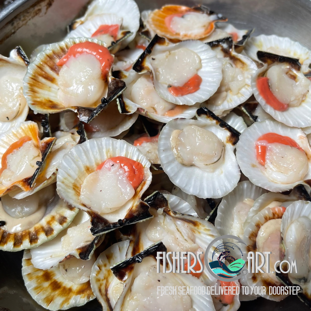 Fresh Half-Shell Scallops (~1kg) – Fisherscart Seafood Store