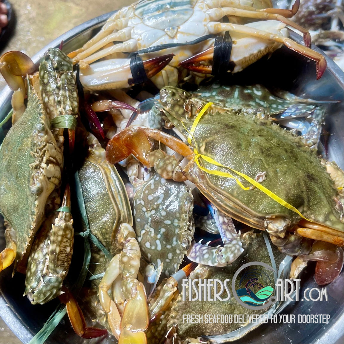 Fresh Alimasag (~1kg) – Fisherscart Seafood Store