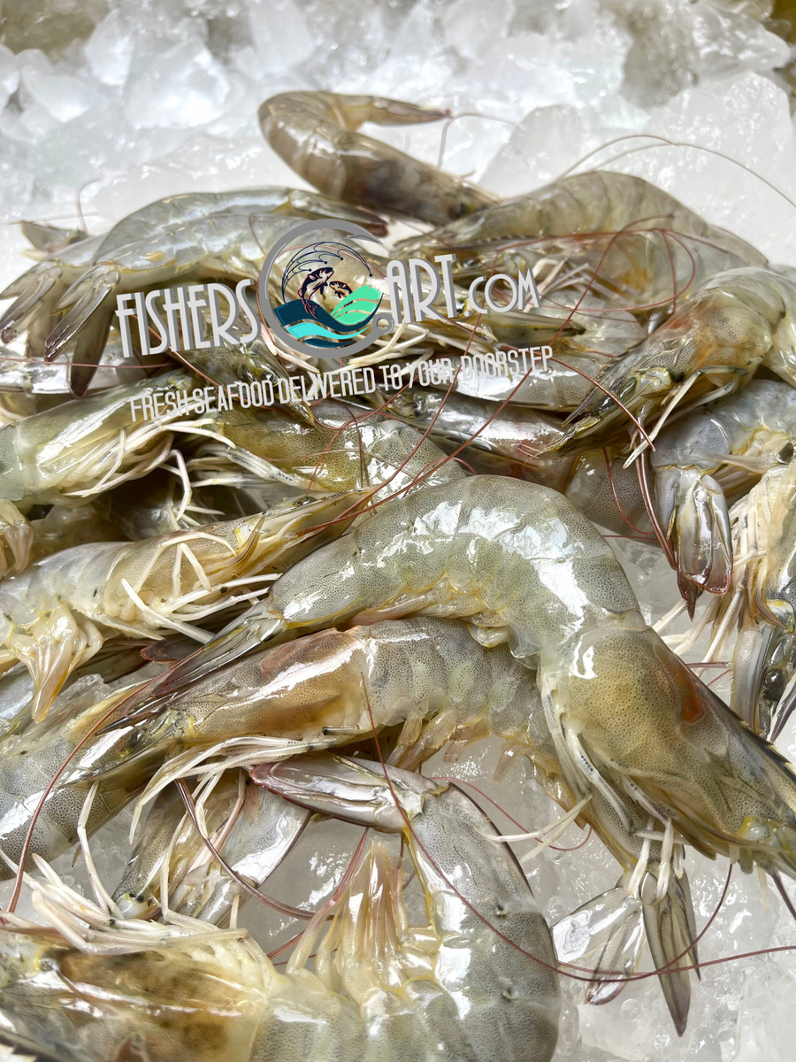 Fresh Hipon – Fisherscart Seafood Store