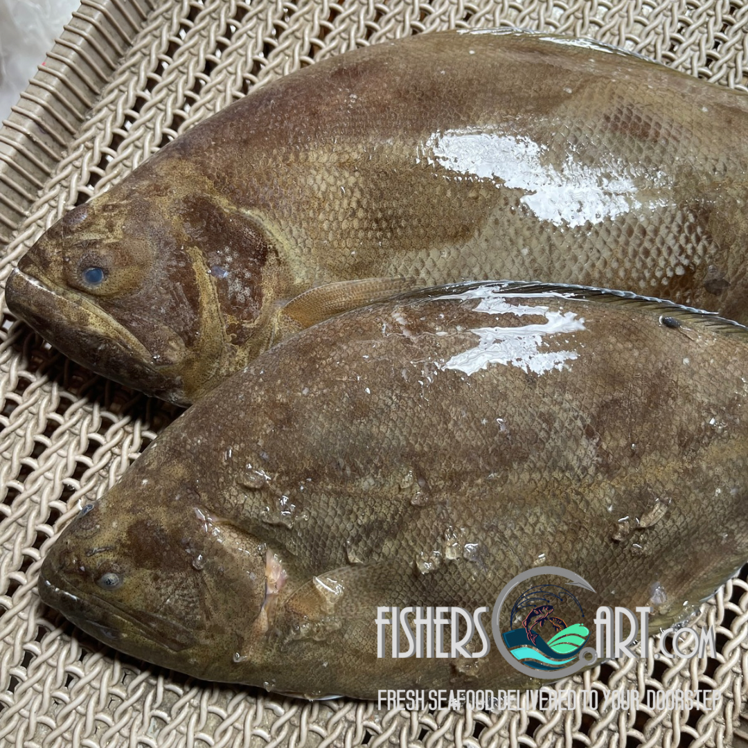 Fresh Dapa (~1kg) – Fisherscart Seafood Store