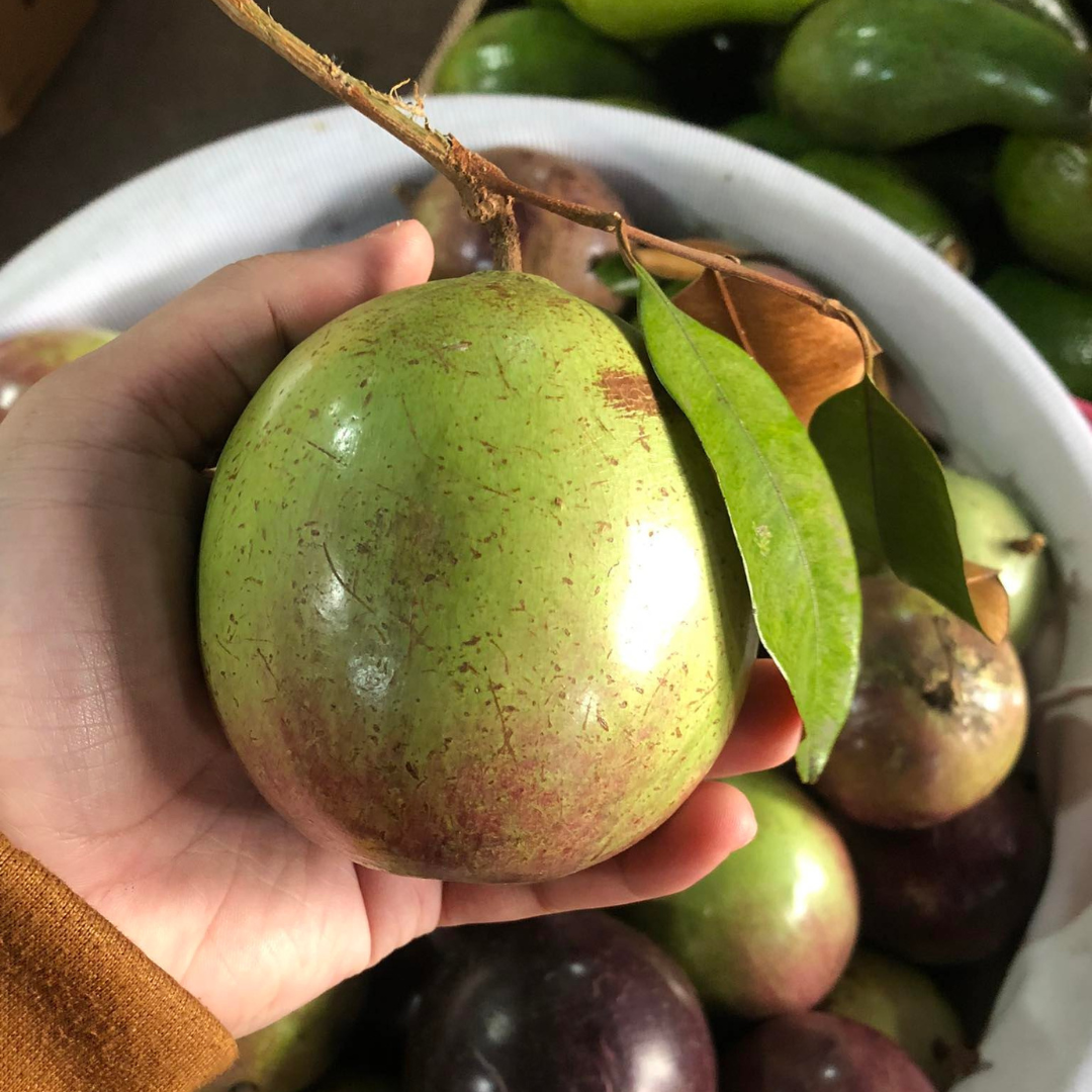Fresh Star Apple (~1kg) – Fisherscart Seafood Store