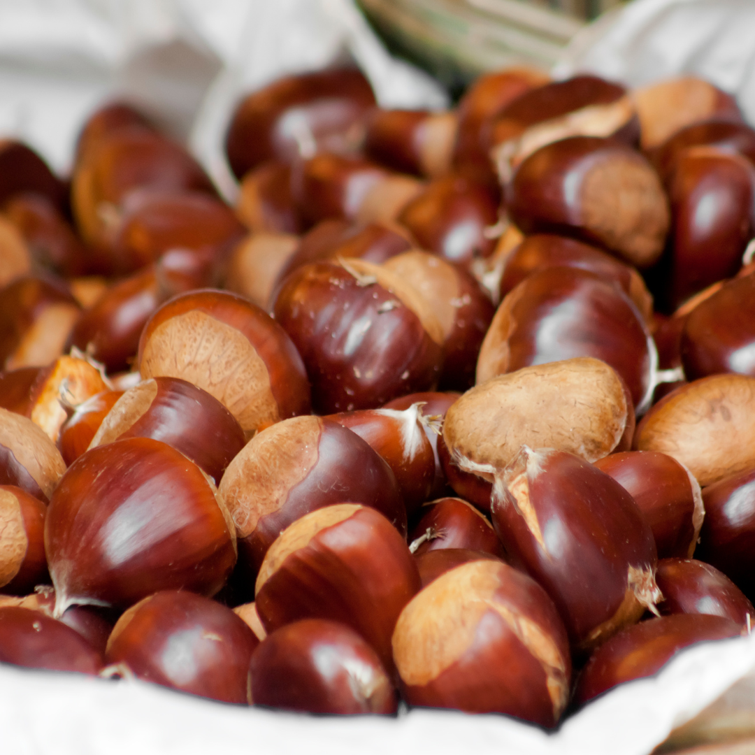 Fresh Castanas (~1kg) – Fisherscart Seafood Store